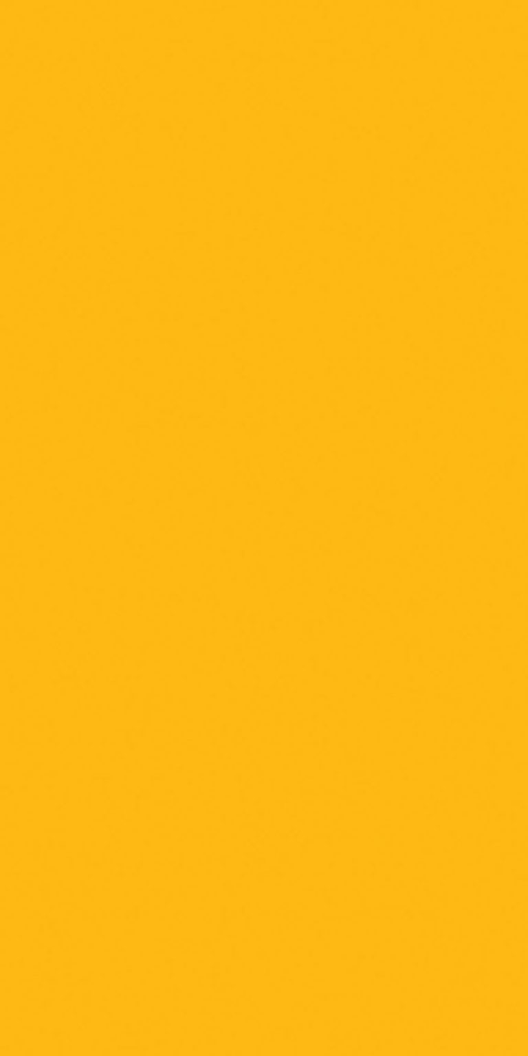 RAL 1003 - Divine Yellow Paint Finish Wooden Doors and Frames | Mikasa ...