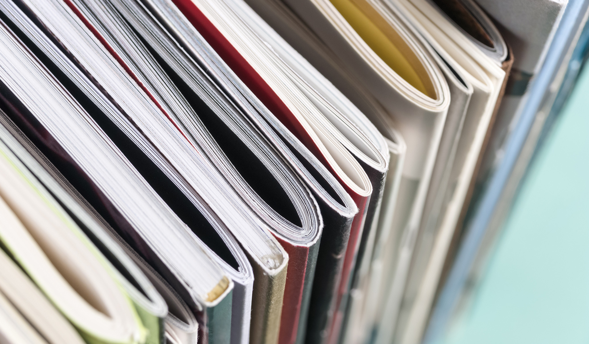 Flipbook | Catalogue for Wooden & Laminated Doors and Frames - Mikasa Doors